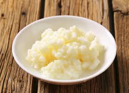 ship-kefir-organic - Kefir India